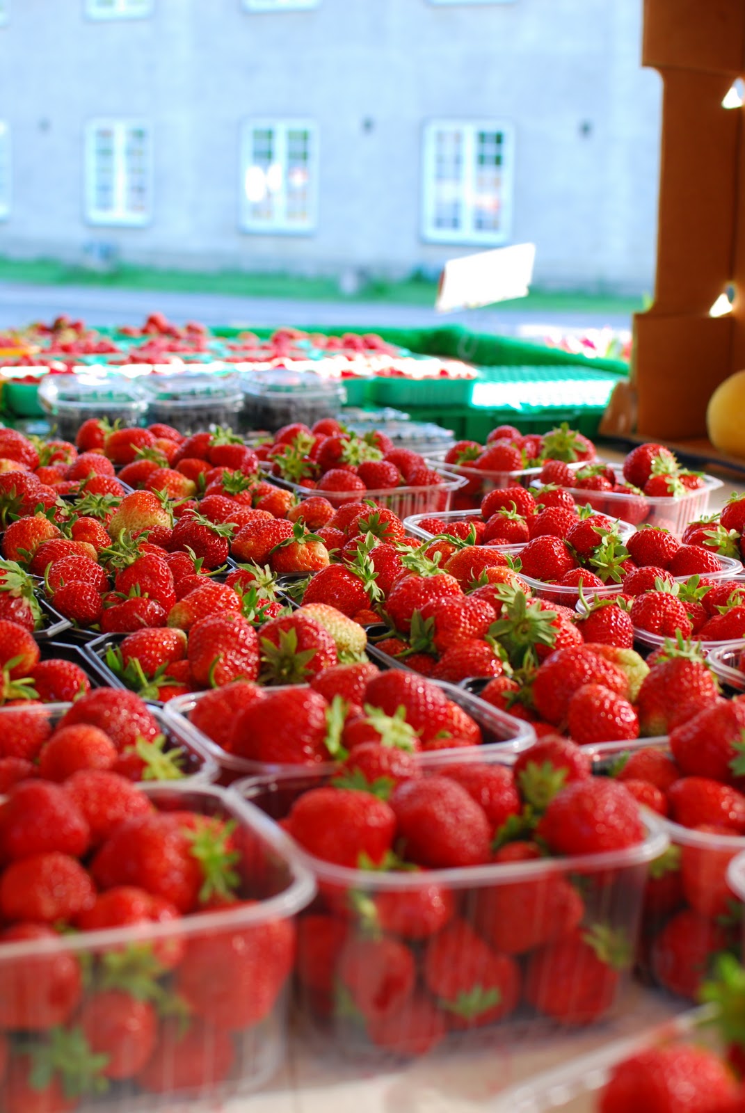 Nordic Nibbler: Norwegian Strawberries