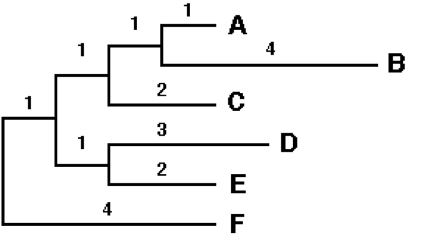 Python for Bioinformatics: Neighbor-joining