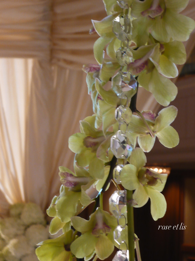 Rose et Lis: Draping for Days