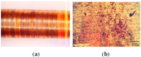 Metallurgical Failure Analysis: Corrosion Failure Analysis of Copper ...