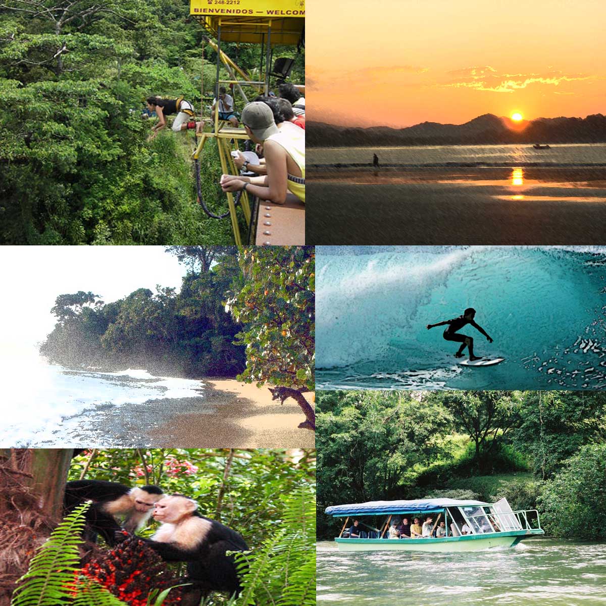 Melissa's Photos: Collage's