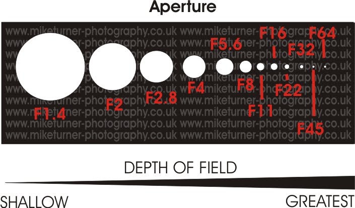 Terri Viltrakis' Photo Blogpage: Diagrams for basic photo instruction