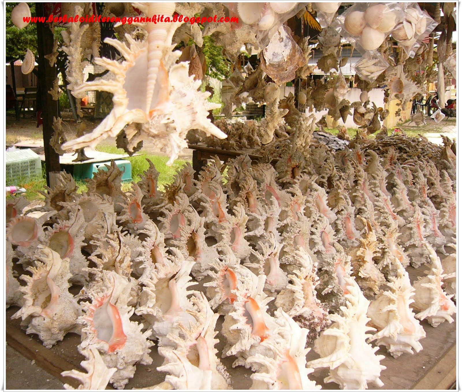 CENDERAMATA DARI KEMAMAN | Berbaloi di Terengganu Kita