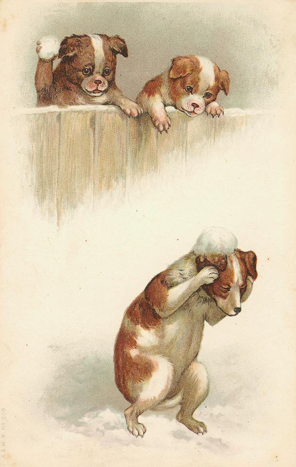 Cards Scrapbooking and Art: Freebies: Vintage dog images