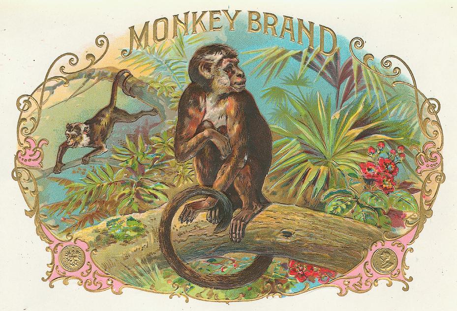 Cards Scrapbooking and Art: Freebies: Vintage Animals Monkeys