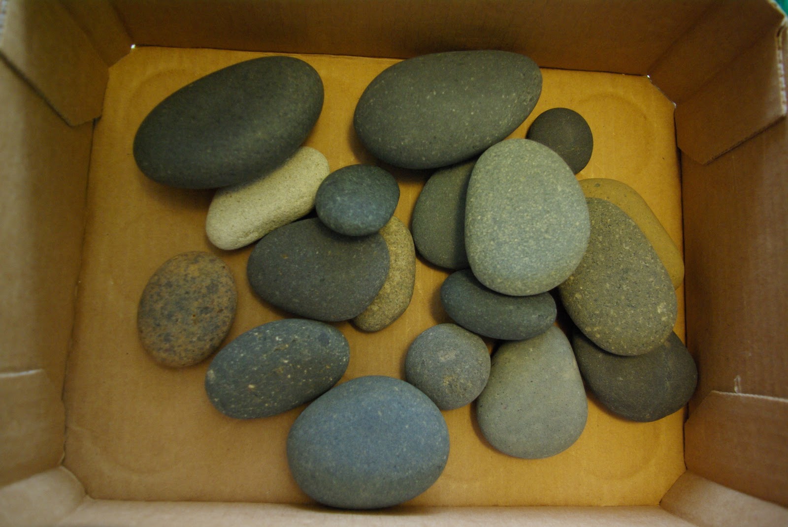 Oleander and Palm: Chalkboard Rocks