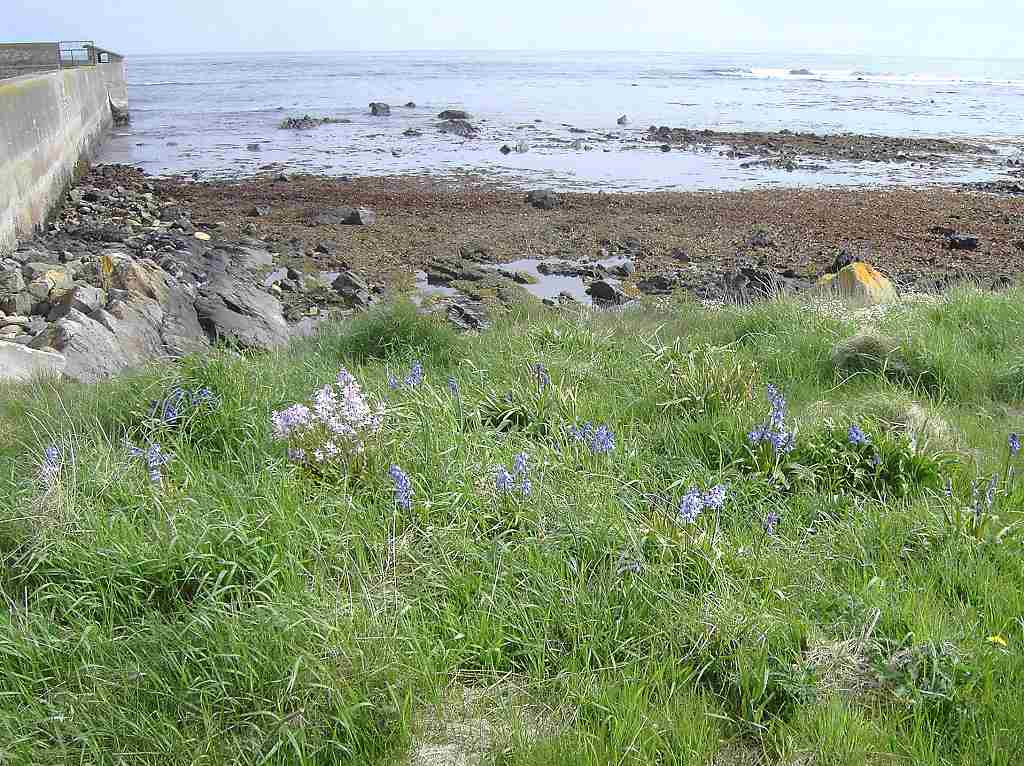 Turn Left at Bognor Pier: Walk 182 -- Fraserburgh to Pennan