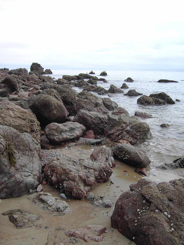Turn Left at Bognor Pier: Walk 196 -- Rosemarkie to Cromarty