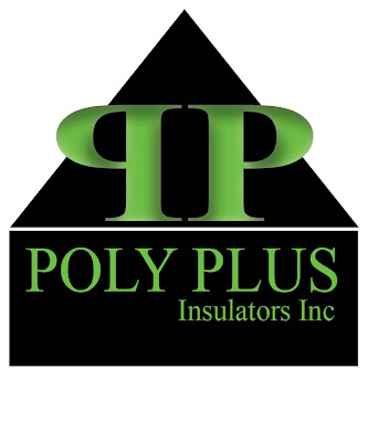 Graphics Portfolio: Poly Plus Logo & Business Card