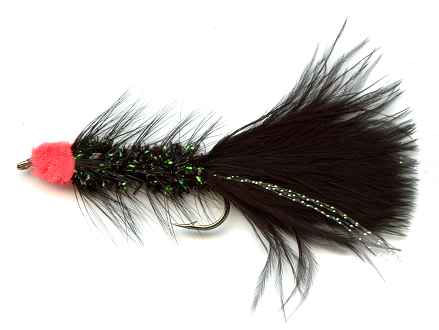 all species fishing: fly fishing suckers