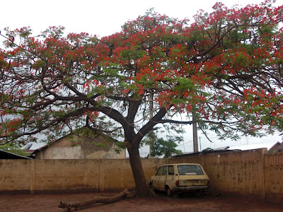 Been in Benin: DJOUGOU: Out and About