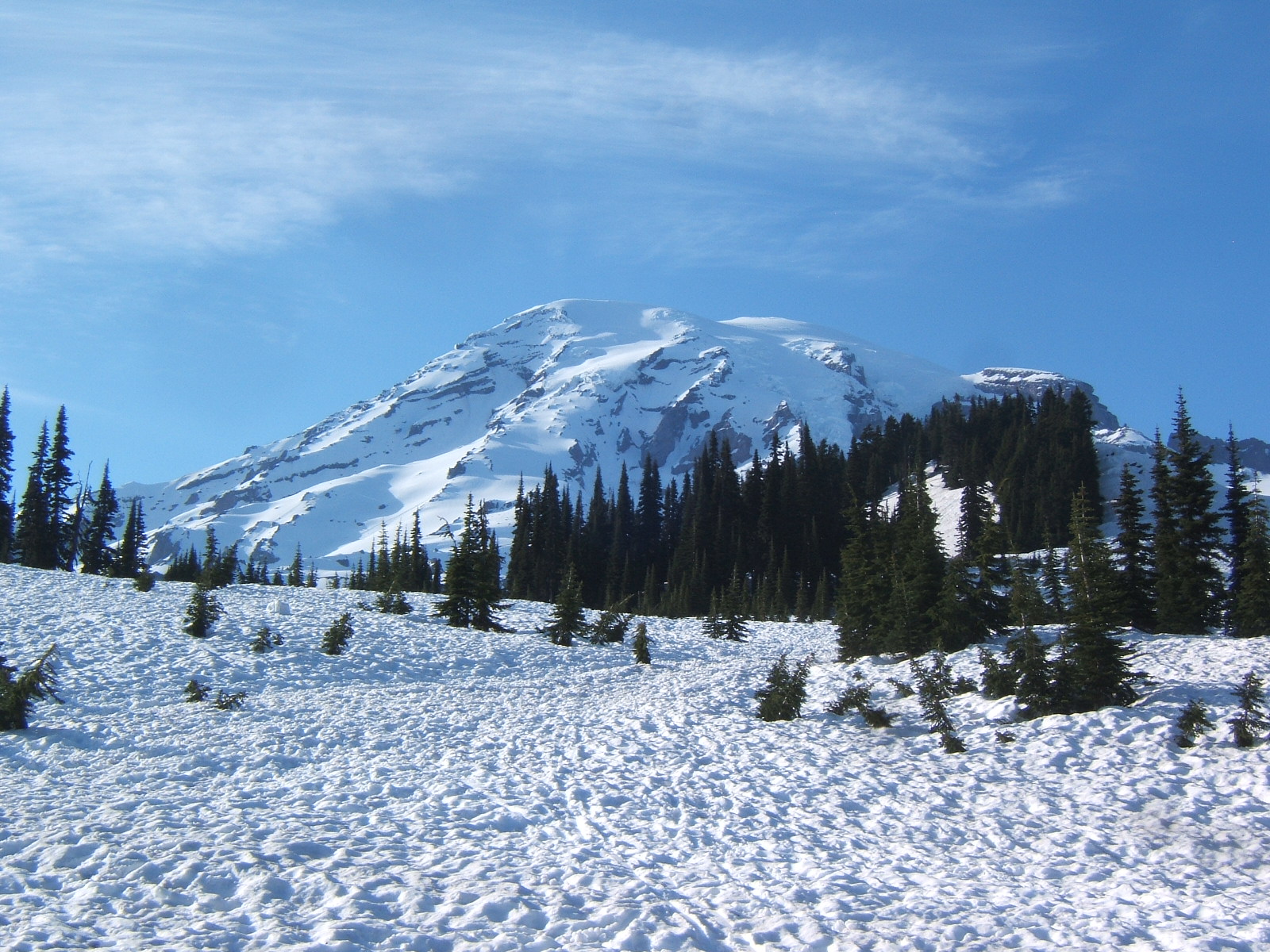 Matthew's Washington Trip: Washington's Highest Peak: Mt Rainier