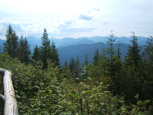 Matthew's Washington Trip: Mt Walker Viewpoint