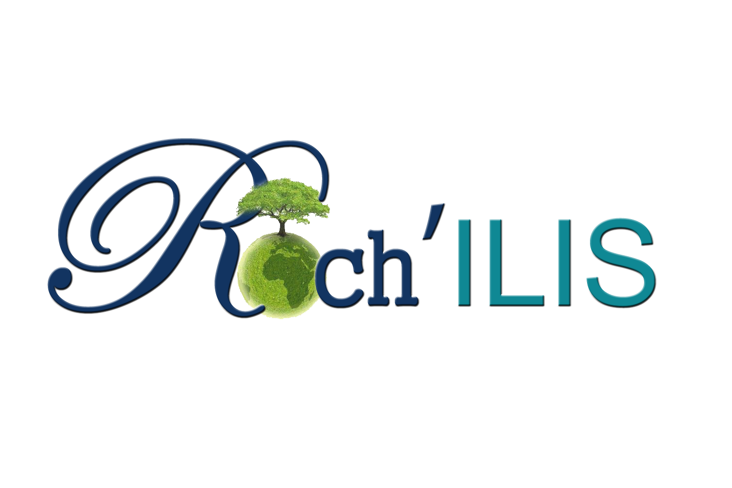 Roch'ILIS: janvier 2011