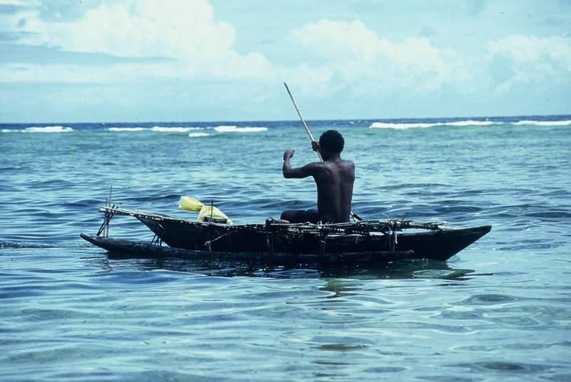 Differences in the Pharmaceutical and Herbal: Paleo Diet Analysis ...