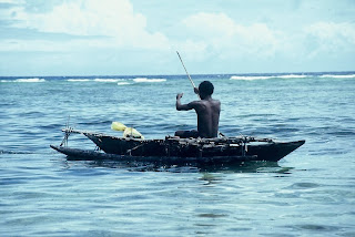 Differences in the Pharmaceutical and Herbal: Paleo Diet Analysis ...