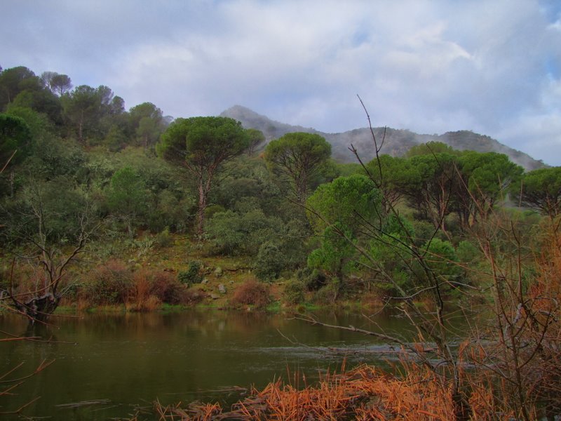 NATURALEZA SALVAJE: RIO COFIO Y ENTORNO.