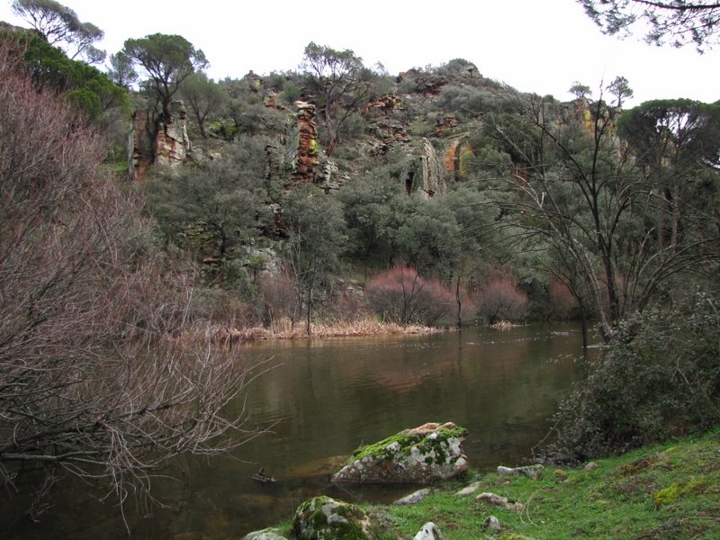 NATURALEZA SALVAJE: RIO COFIO Y ENTORNO.