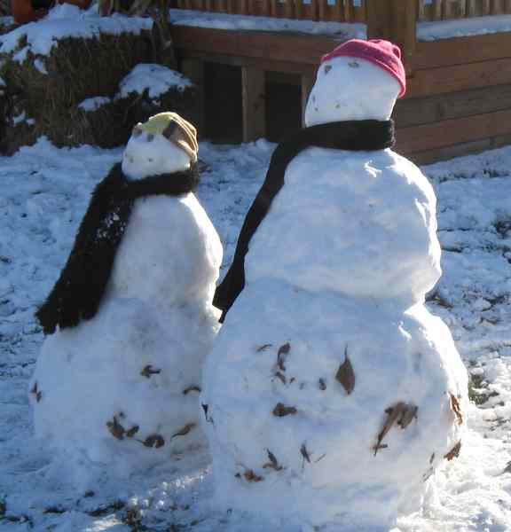 Rensselaer Adventures: Real snowmen