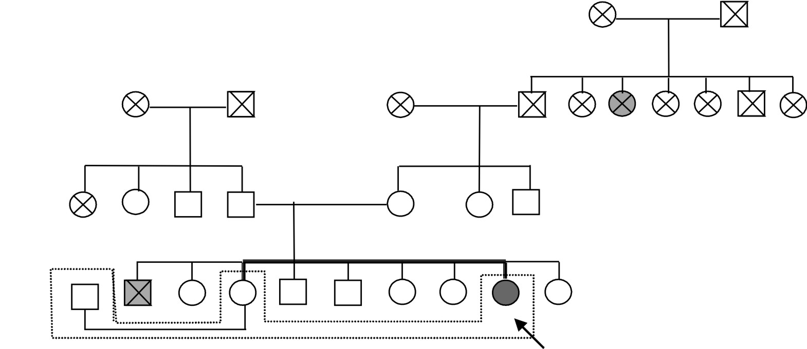 Genogram Outline - Sample Template