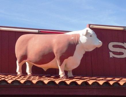 Tucson Daily Photo ~: May 2010