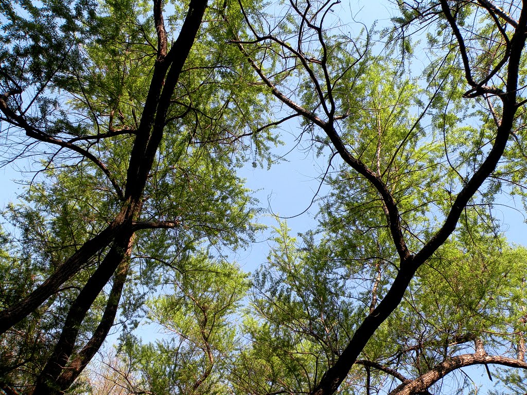 Uruguay's wildlife & Natural sanctuaries - Santuarios naturales & flora ...