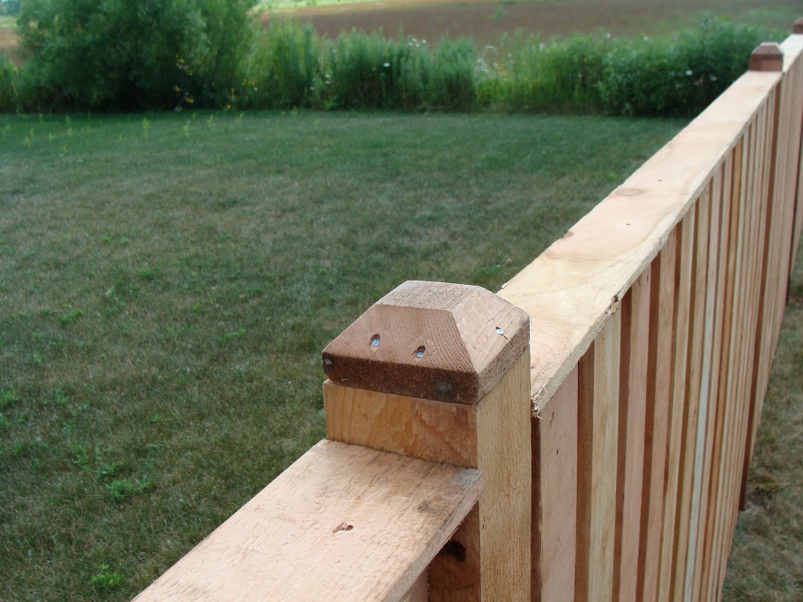 The Martha Initiative: The finished fence