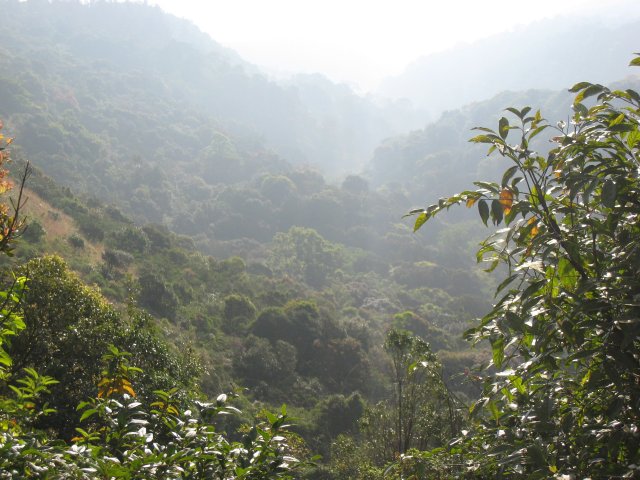 (A)musings: lesser known coorg - Cauvery Devara Kaadu