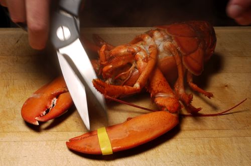 Jane's Sonntagsbraten: Hummer Rezept, Provencalische Art