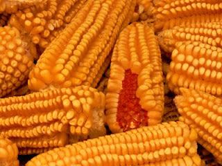 El Tajo: La Tusa: usos y aplicaciones.