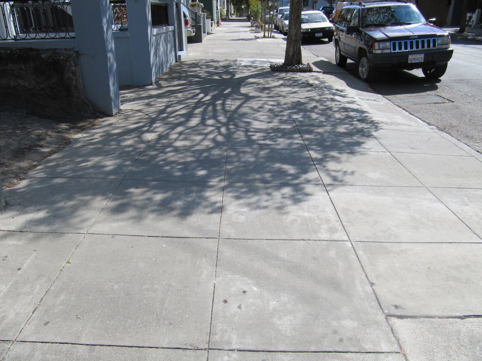 Sidewalk Images: Tree Shadow