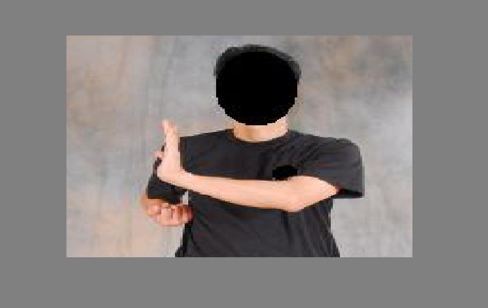 MOTRICIDADE HUMANA : Wing Chun