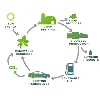 GREEN ENERGY: Bio-sourced energy