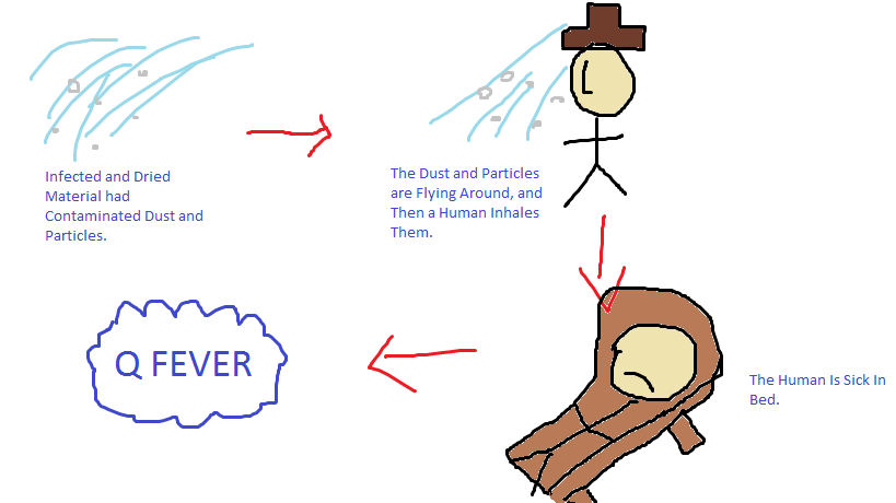 Symptoms: Symptoms Q Fever