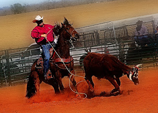 RopeSmart Buzz: Open Roping Won