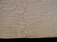 The HomeBuyer's Advocate: Mold and Stucco