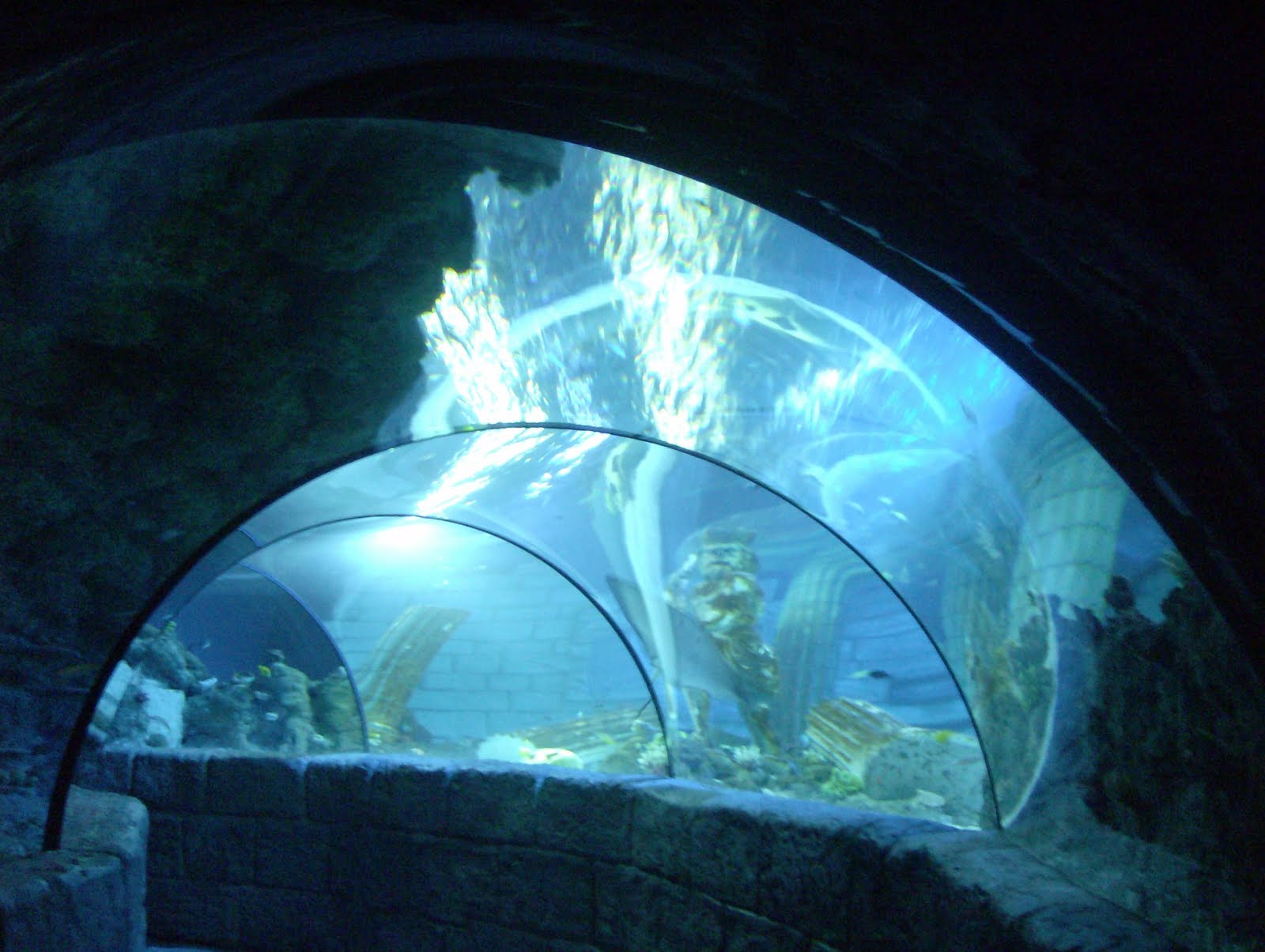 About Portugal: Sea Life (Porto)