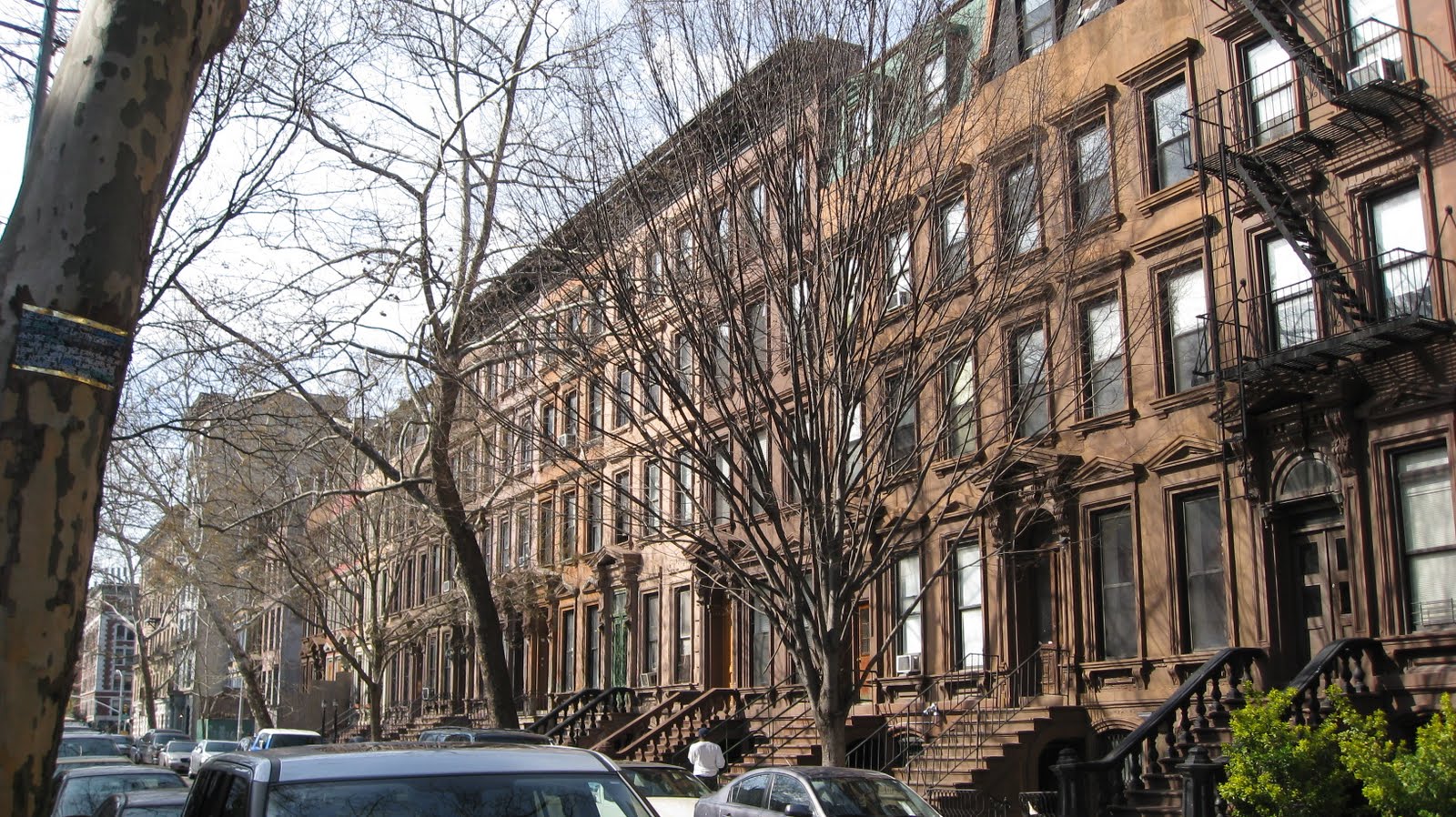 Trail Tramps: Harlem NY Architectural Highlights Walk