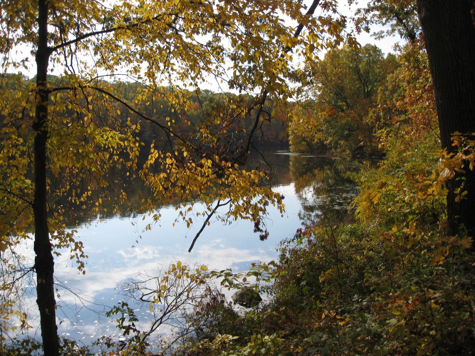 Trail Tramps: Autumn Leaves Walk/Hike in Rockefeller Preserve State ...