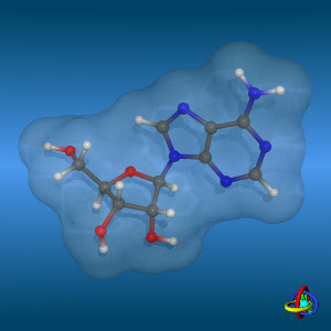 Life Components (Inorganic and Organic) | Knowledge In Biological Studies