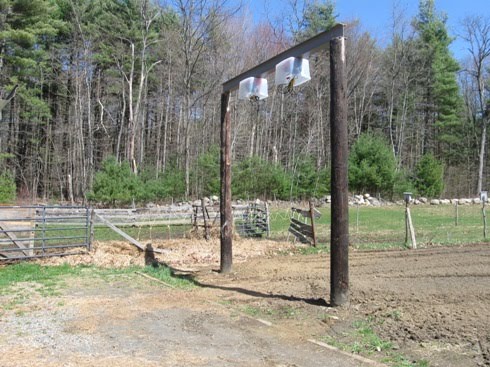 Jon In Albany: Cows Part 3: Packing