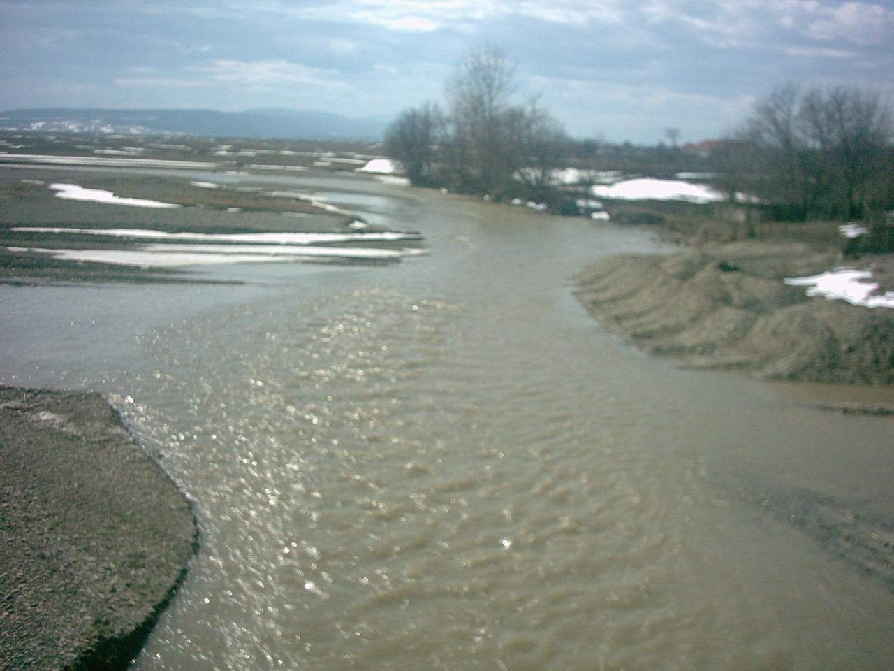 BIBLIOTECA TIMISESTI: MONOGRAFIA