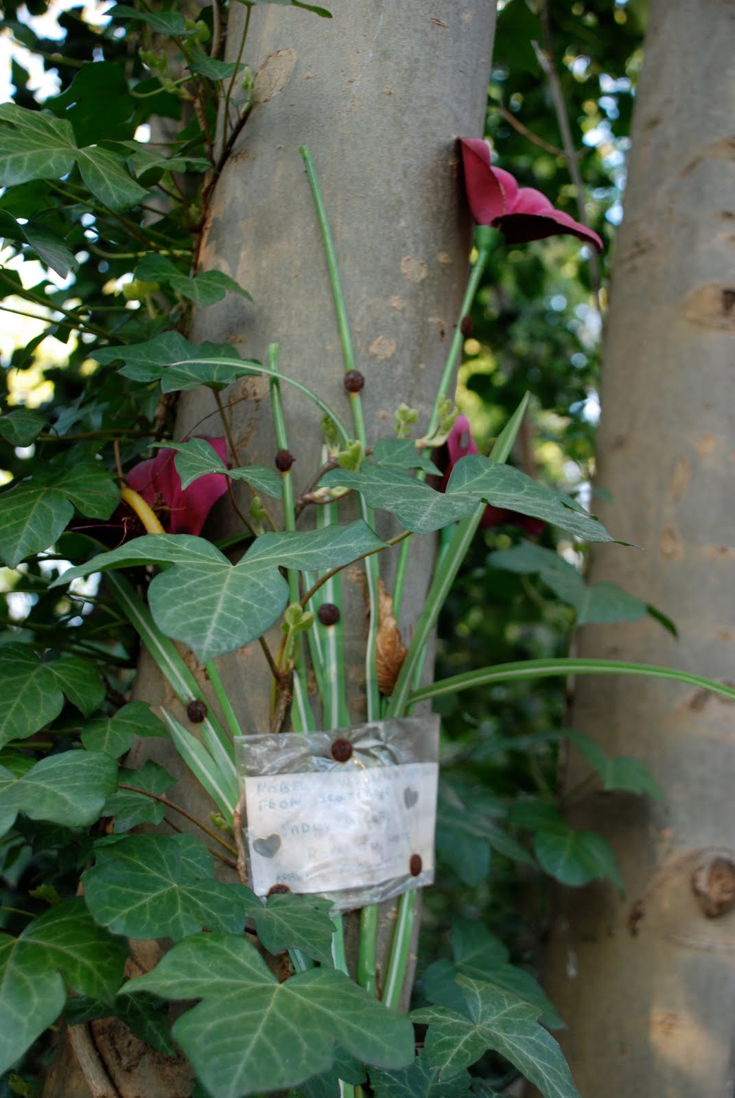 CHOCOLATE LIFE AND JAZZ!: An amazing find..A Marc Bolan memorial in a ...