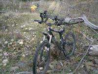 WA Bow Hunting Blog aka escape suburbia: Vail Tree Farm