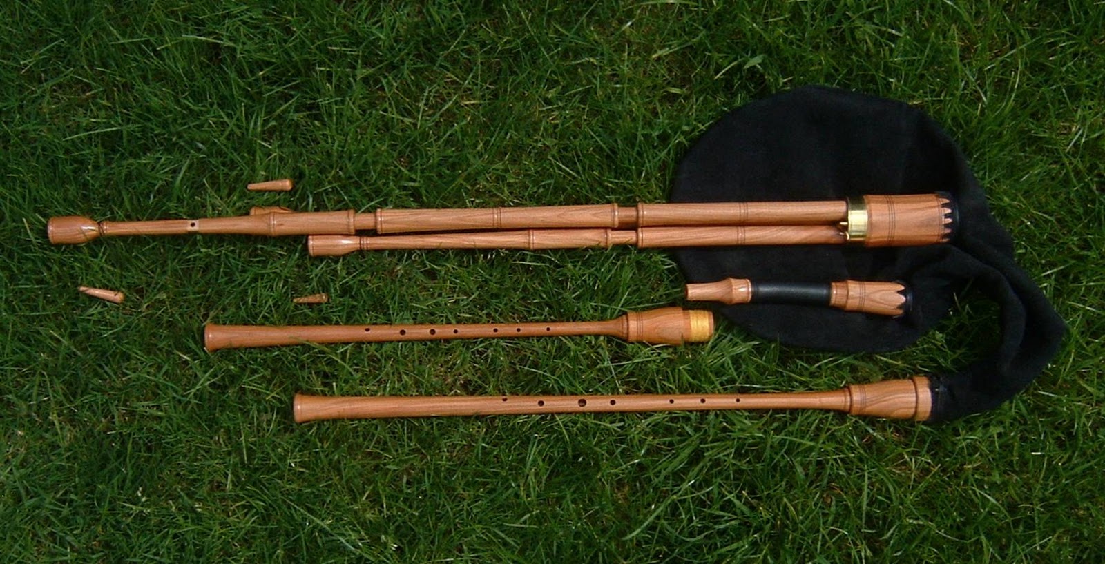 Alan the Rainpiper, una cornamusa sotto la pioggia: Storia delle ...