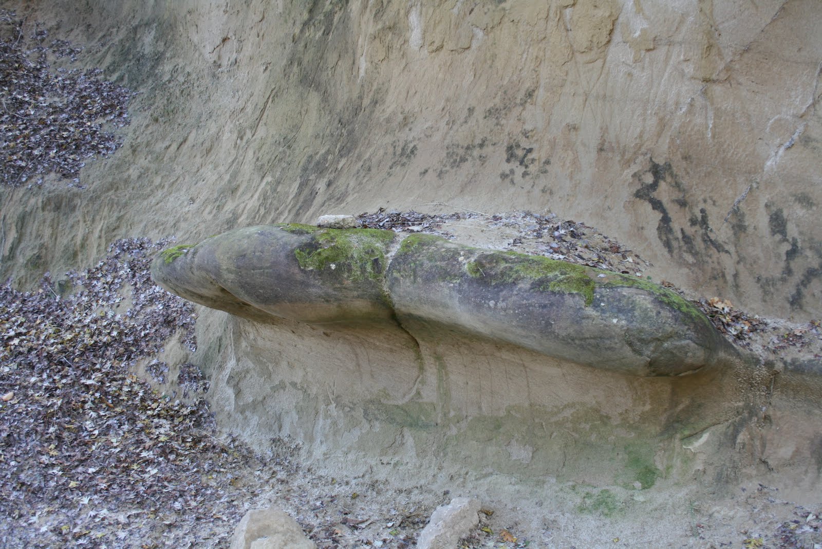 Timp liber: La Predeal