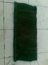 TENTANG IJUK: Serat Ijuk Merupakan Serat Alam Terbaik Yang Dimiliki ...