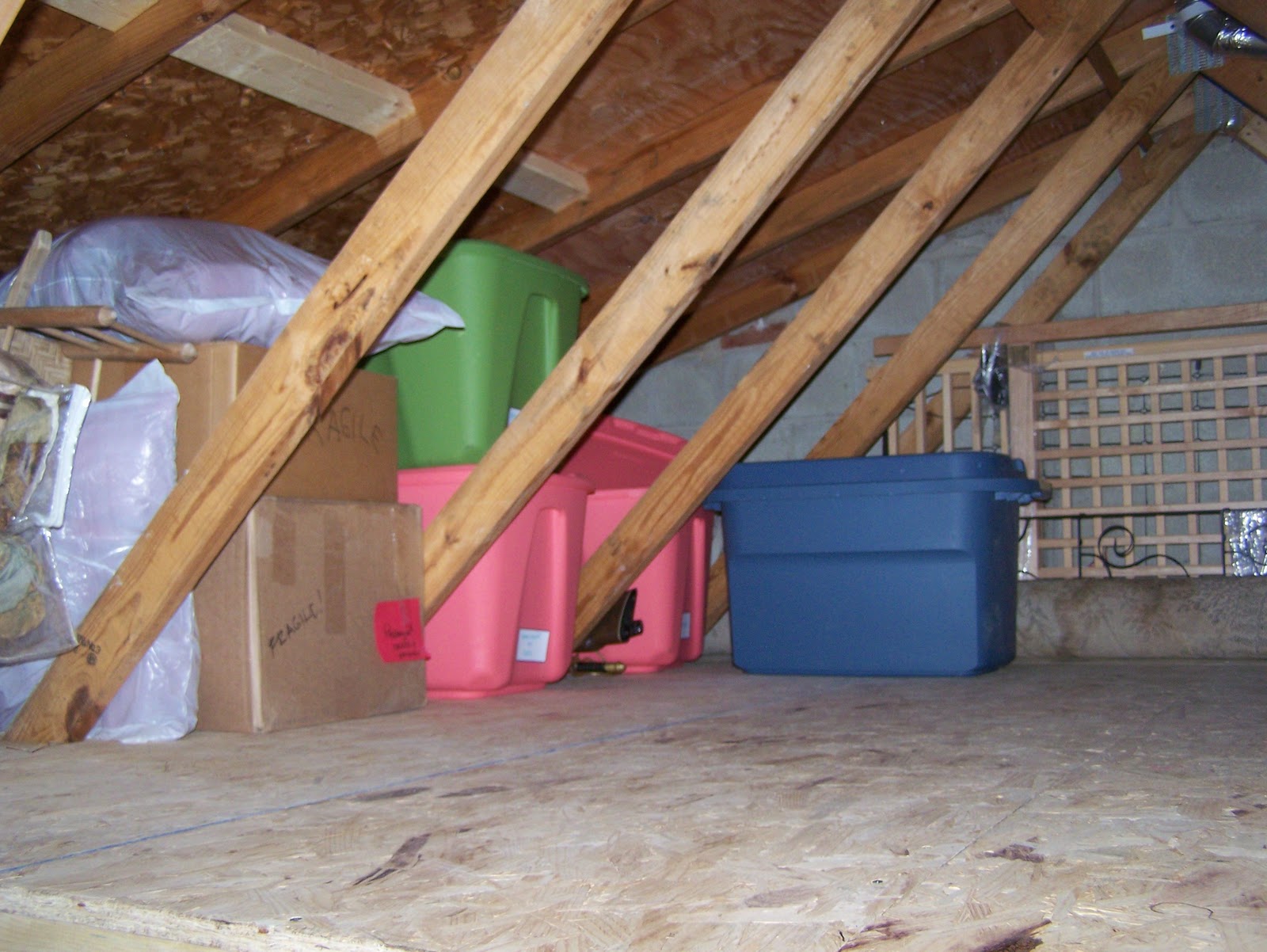 The Shoestring House