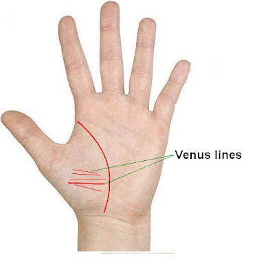 palmistry: Know your Future: 2010