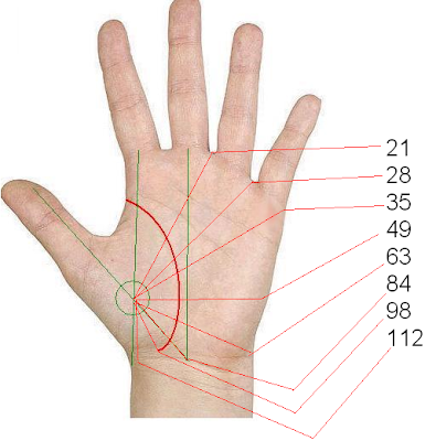 palmistry: Know your Future: Life line: how to find out your age